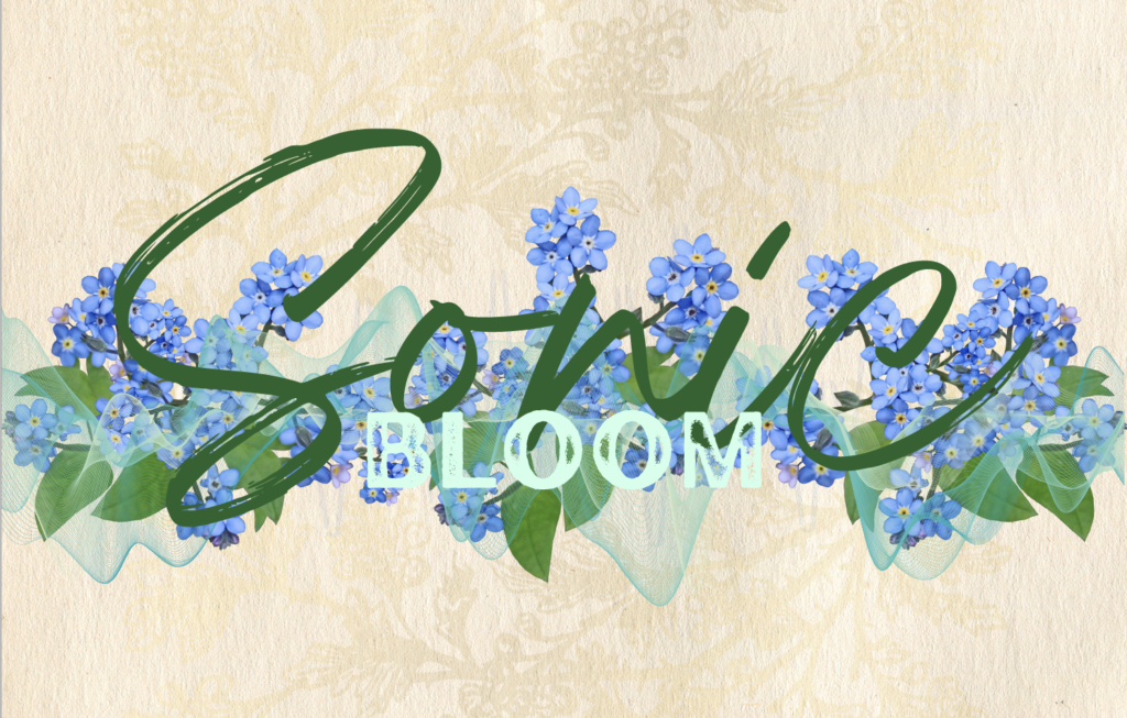 Sonic Bloom [FUSEBOX SATURDAY HUB NIGHT] - Fusebox