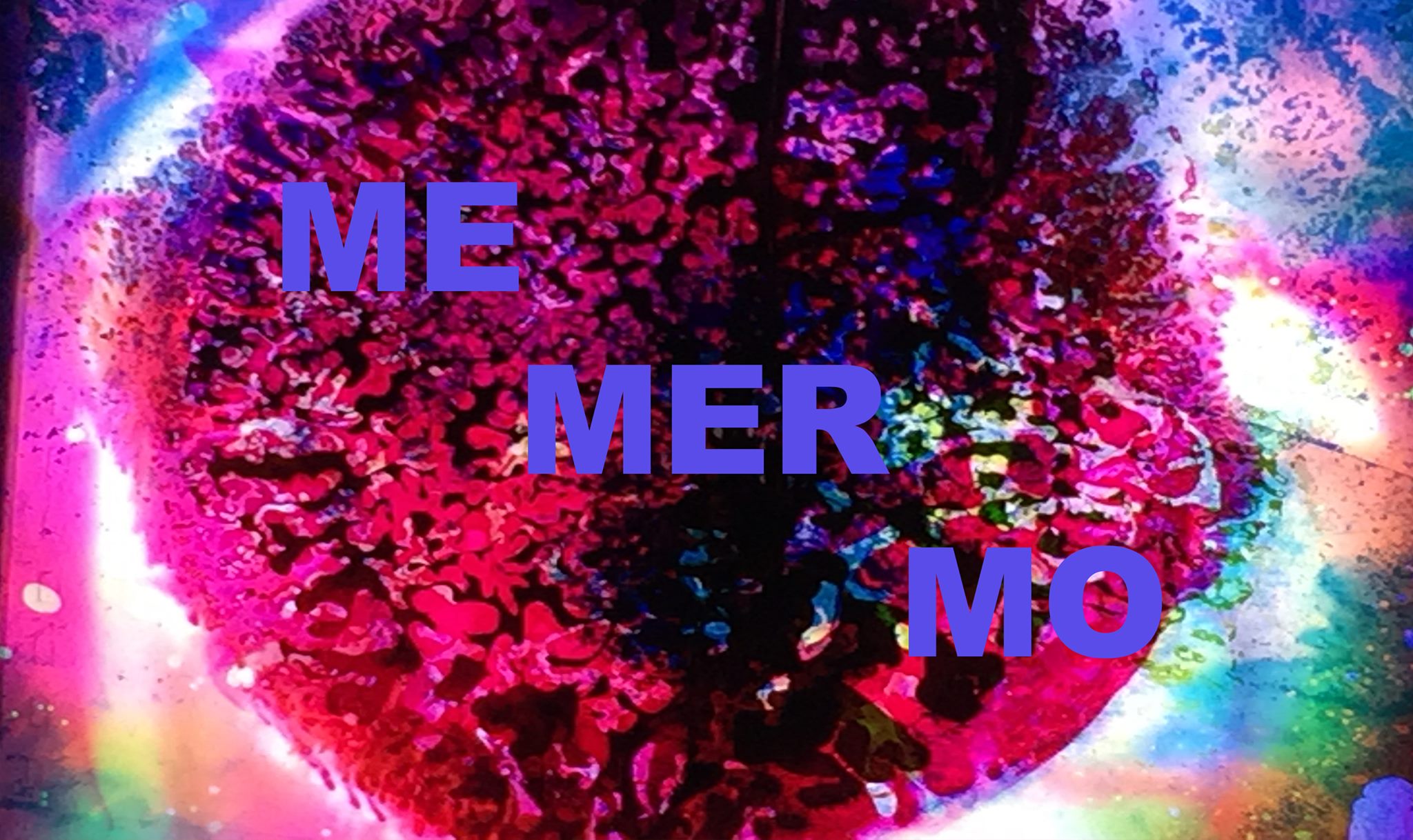 Me Mer Mo Monday - Fusebox